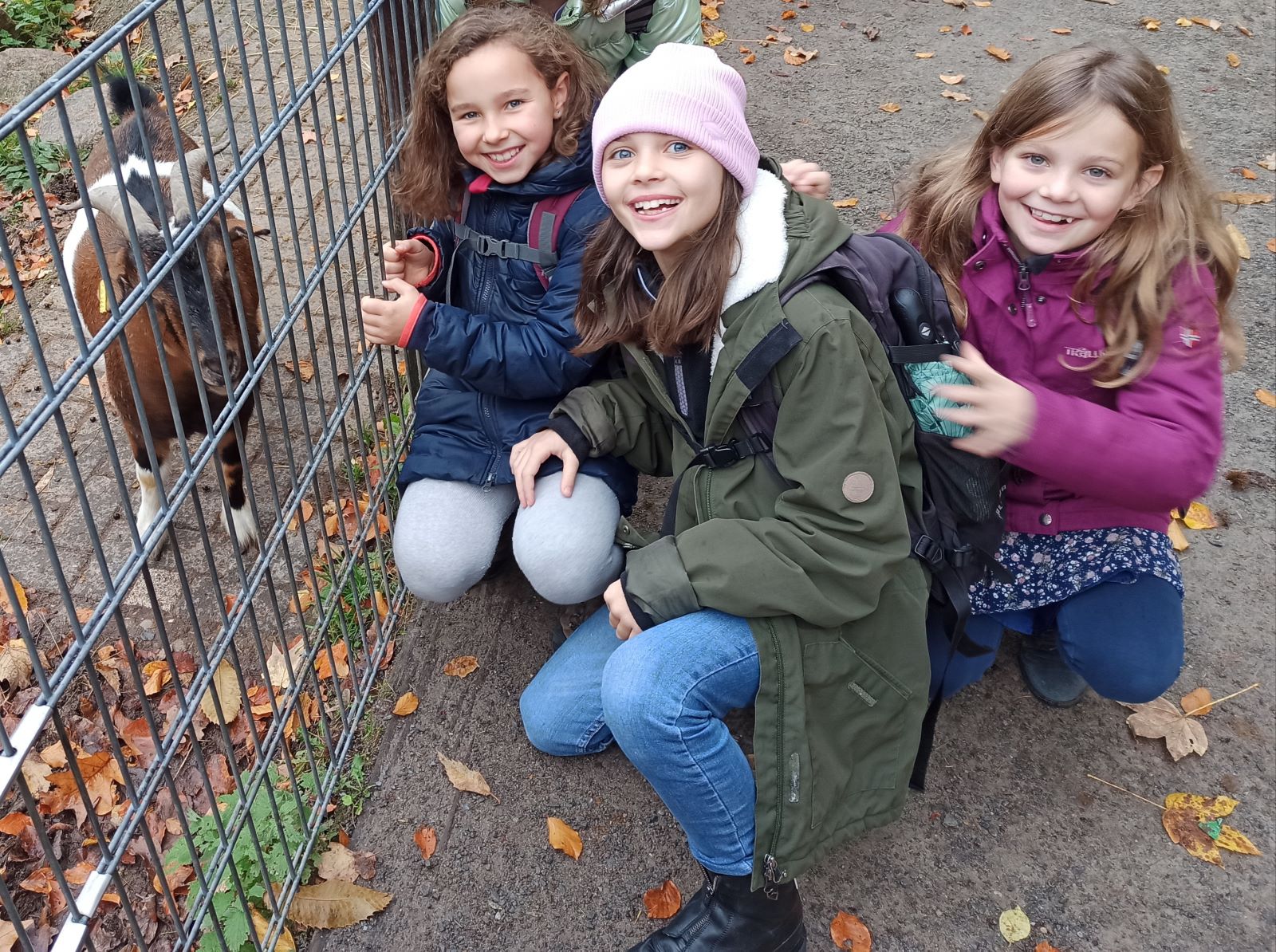 Besuch des Wildparks in Haibach - Kolpingschule
